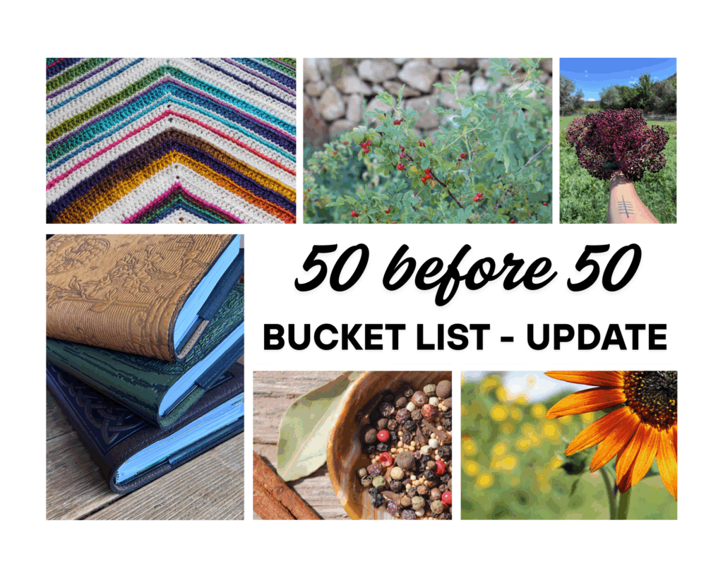 Work(s) in Progress: 50 Before 50 Bucket List (update #1) - Under the ...